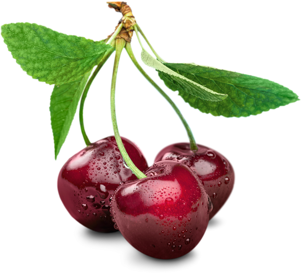 Compania Fruit Agro - producator de fructe si cereale