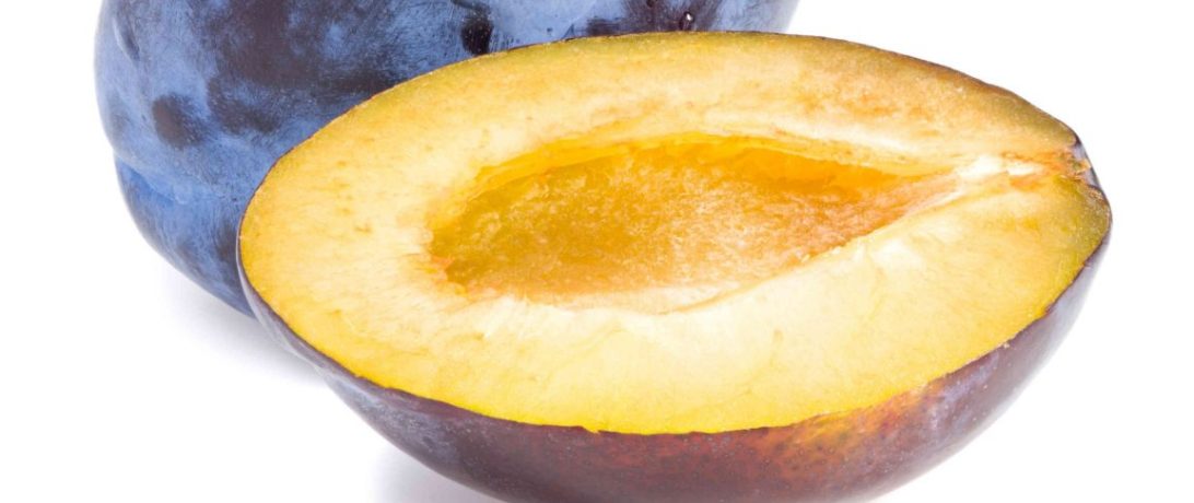 The Fruit Agro company - supplier of fruits and cereals